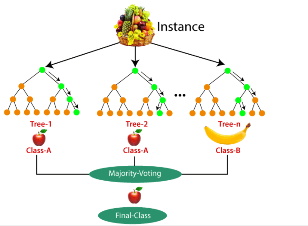 Random Forest Algorithm Praudyog